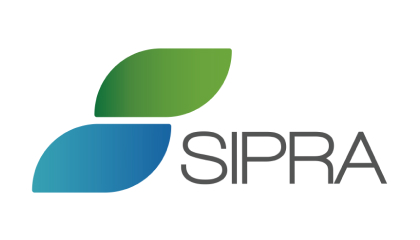 Hecho en México | koode.mx | Expertos en Diseño Web